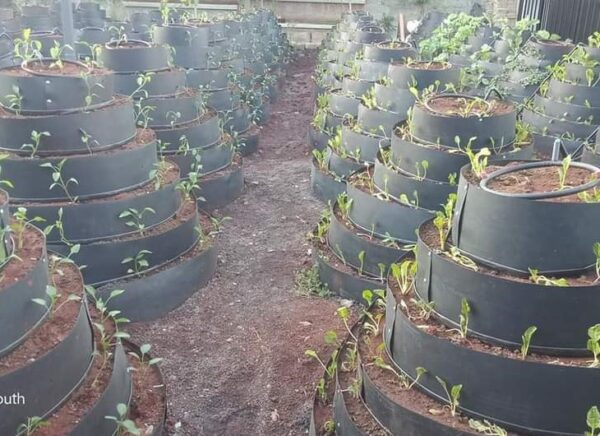 Multi Storey Gardens in Kenya | Kitchen Gardens | Grekkon Limited