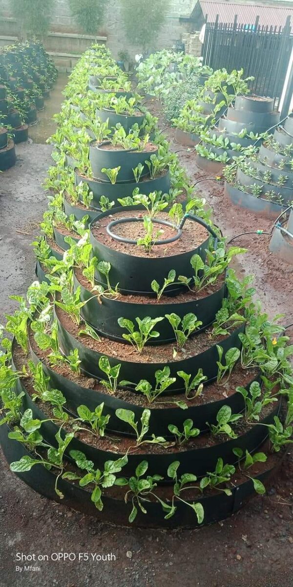 Multi Storey Gardens in Kenya | Kitchen Gardens | Grekkon Limited